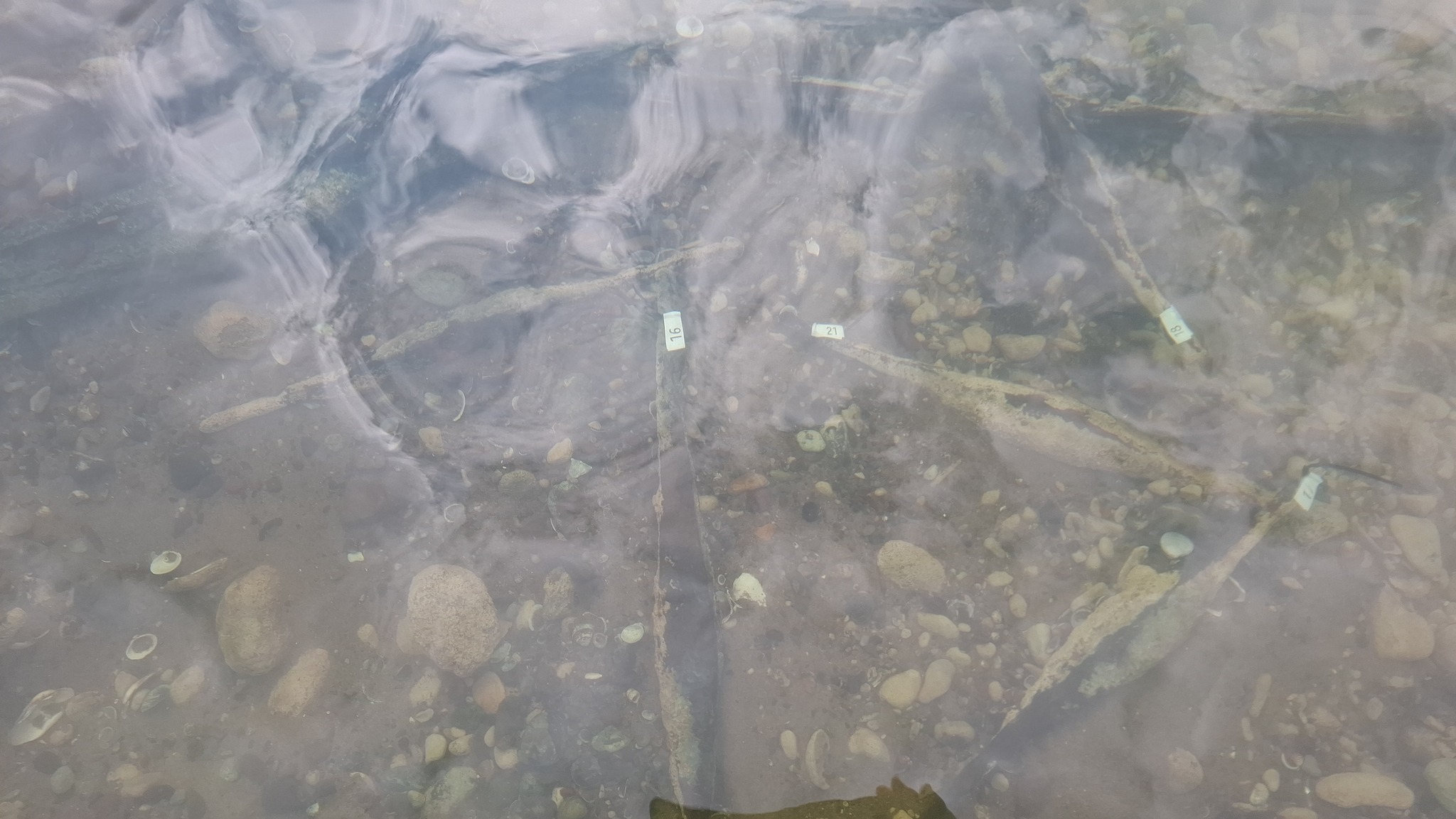 FOTO: MUZEJ FRANJEVAČKOG SAMOSTANA TOLISA NA PRAGU VELIKOG ARHEOLOŠKOG ...